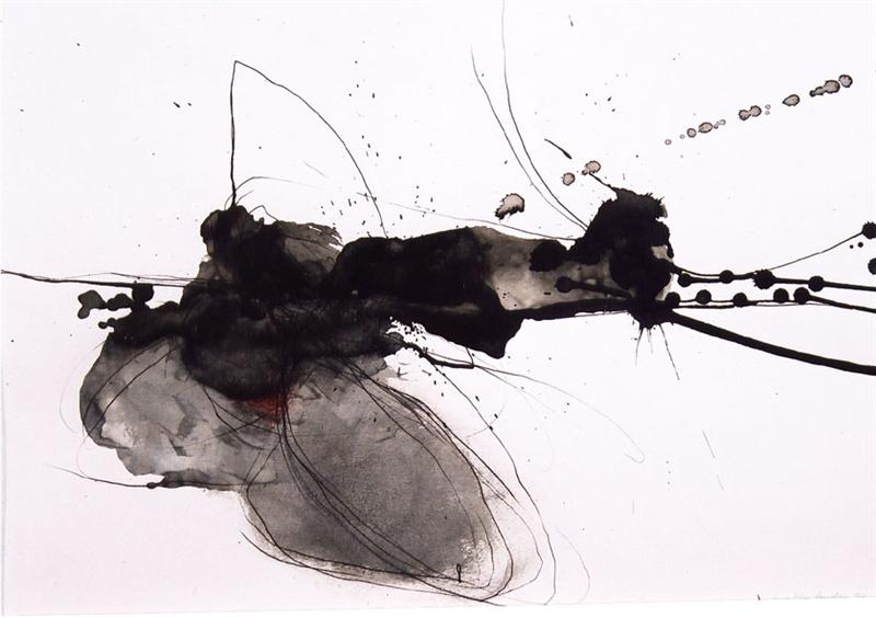 Pascale Montandon: l'art de la fugacité